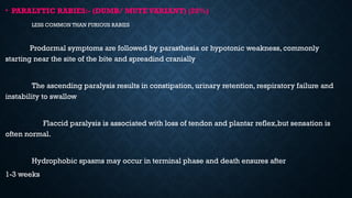 Rabies dog bite management powerpoint presentation | PPT