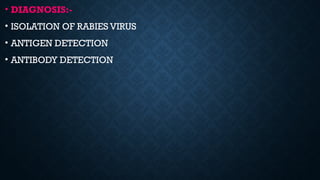 Rabies dog bite management powerpoint presentation | PPTX