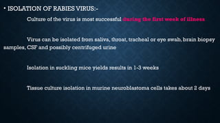 Rabies dog bite management powerpoint presentation | PPTX