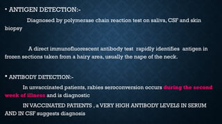 Rabies dog bite management powerpoint presentation | PPTX