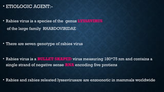 Rabies dog bite management powerpoint presentation | PPTX