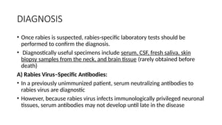 RABIES-etiopathogenesis, prevention and management.pptx
