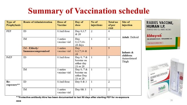 RABIES-etiopathogenesis, prevention and management.pptx