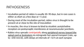 RABIES-etiopathogenesis, prevention and management.pptx