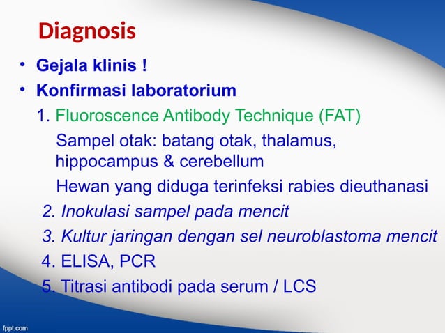 Penanganan pencegahan tatalaksana Rabies.ppt