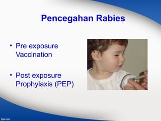 Penanganan pencegahan tatalaksana Rabies.ppt