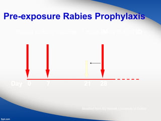 Penanganan pencegahan tatalaksana Rabies.ppt