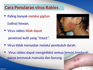 Penanganan pencegahan tatalaksana Rabies.ppt