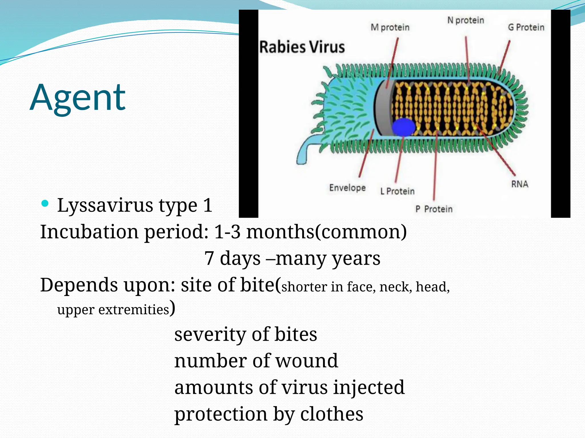 Brief introduction ,transmission prevention and managment of about ...