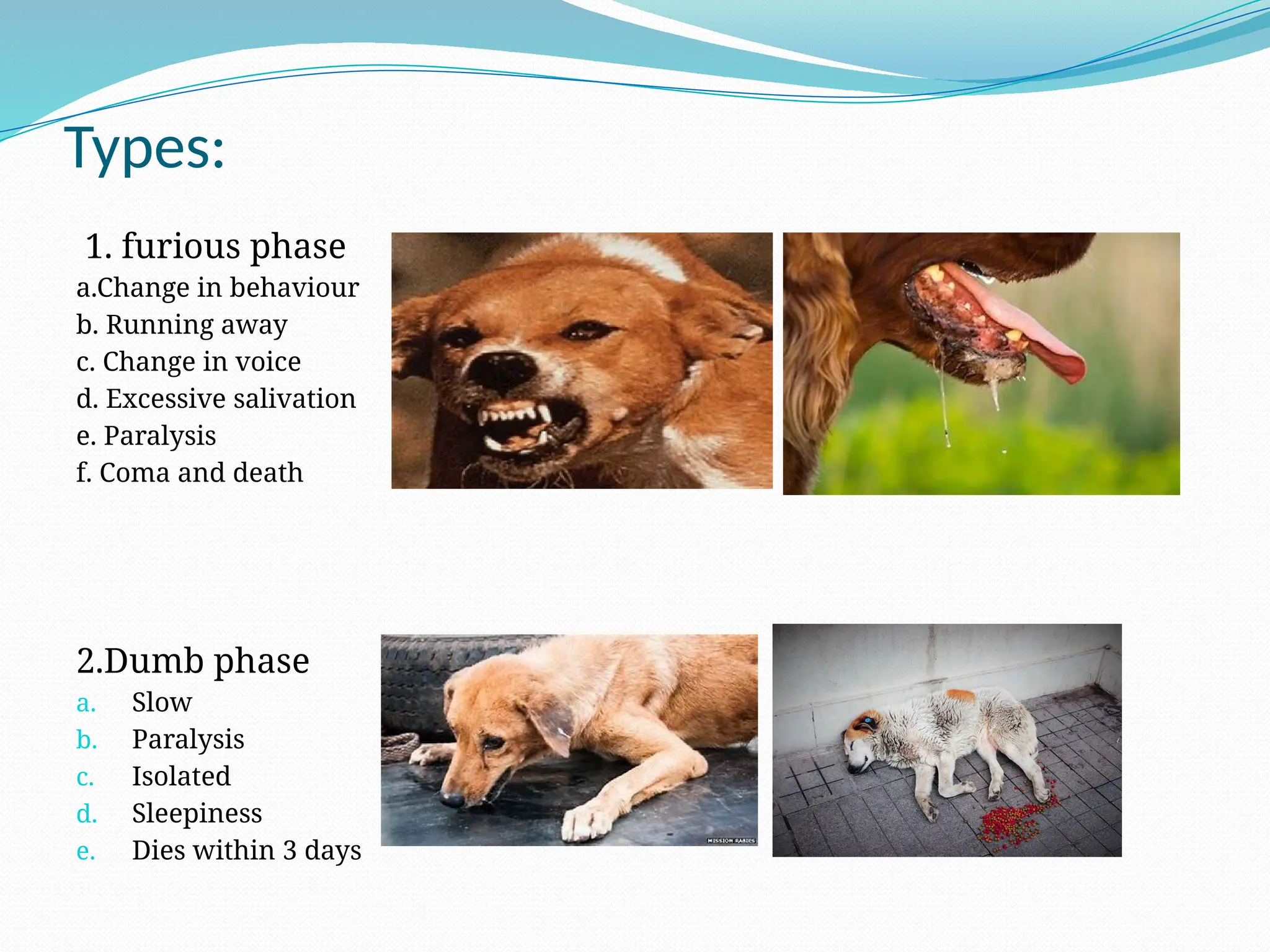 Brief introduction ,transmission prevention and managment of about ...