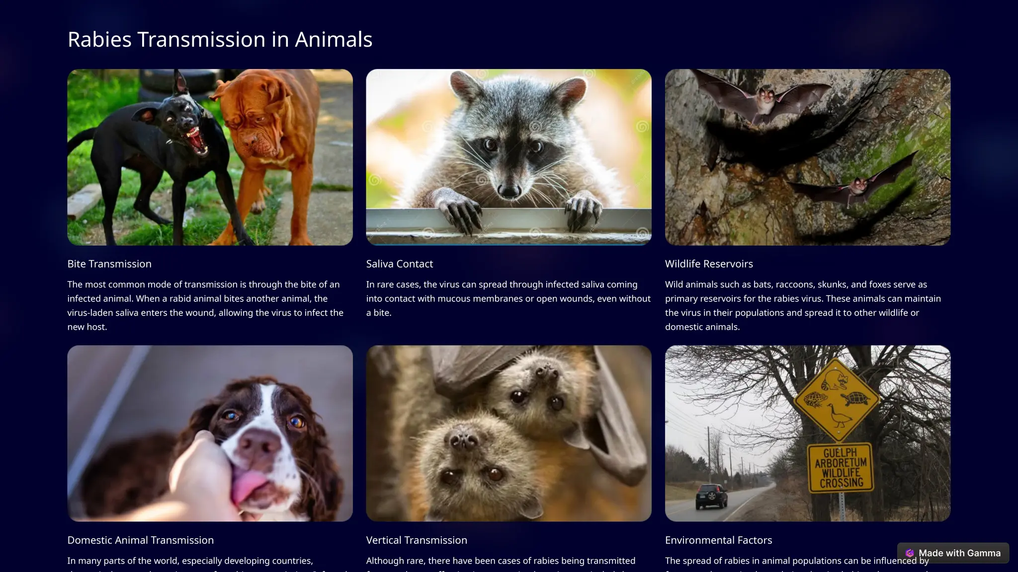 Rabies- a dangerous disease and its causes | PPTX