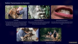 Rabies- a dangerous disease and its causes | PPTX