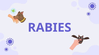 Rabies : introduction, epidemiology, pathology, diagnosis, treatment ...