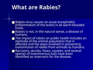 rabies.pptx Detailed information on disease. for eg rabies | PPTX