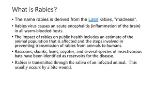 Rabies - Ancient disease still a modern problem. | PPTX | Infectious ...