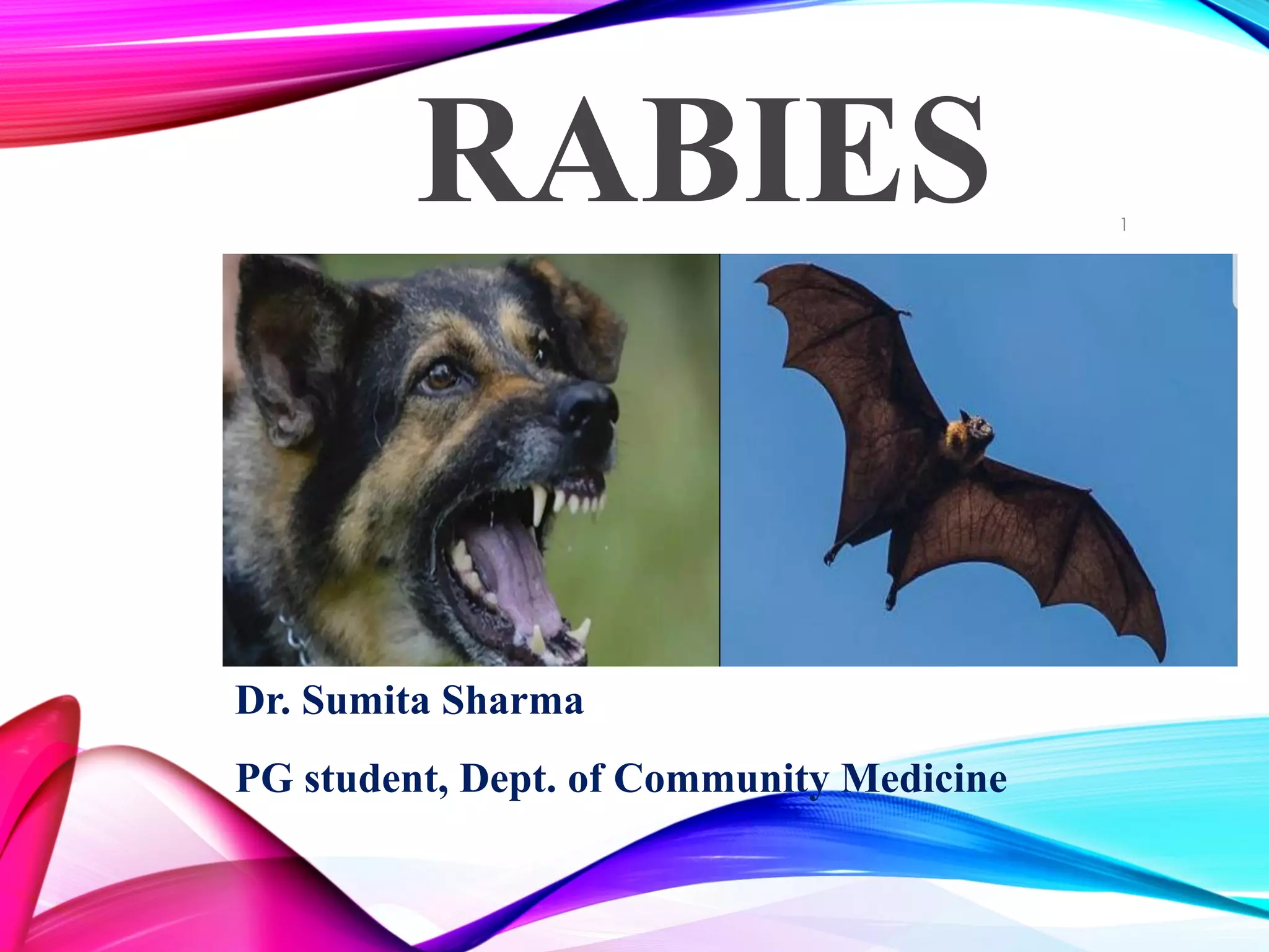 Rabies | PDF