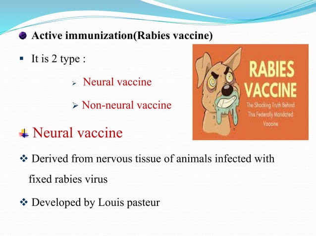 Rabies copy | PPT