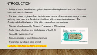 Rabies Epidemiology- Dr.mohammad Ashraful Amin | PPT