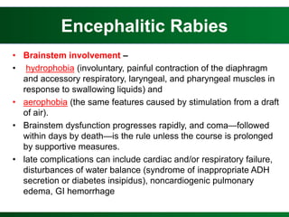 Rabies - final.pptx