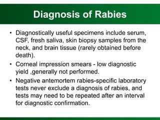 Rabies - final.pptx