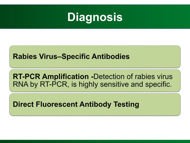 Rabies - final.pptx