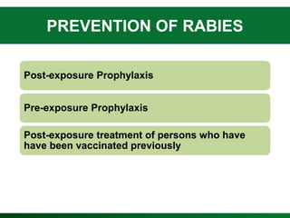 Rabies - final.pptx