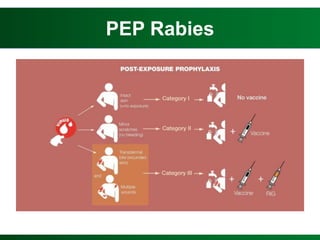 Rabies - final.pptx