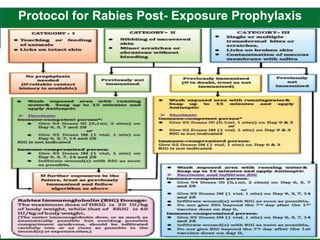 Rabies - final.pptx