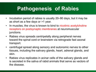 Rabies - final.pptx