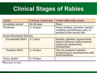 Rabies - final.pptx