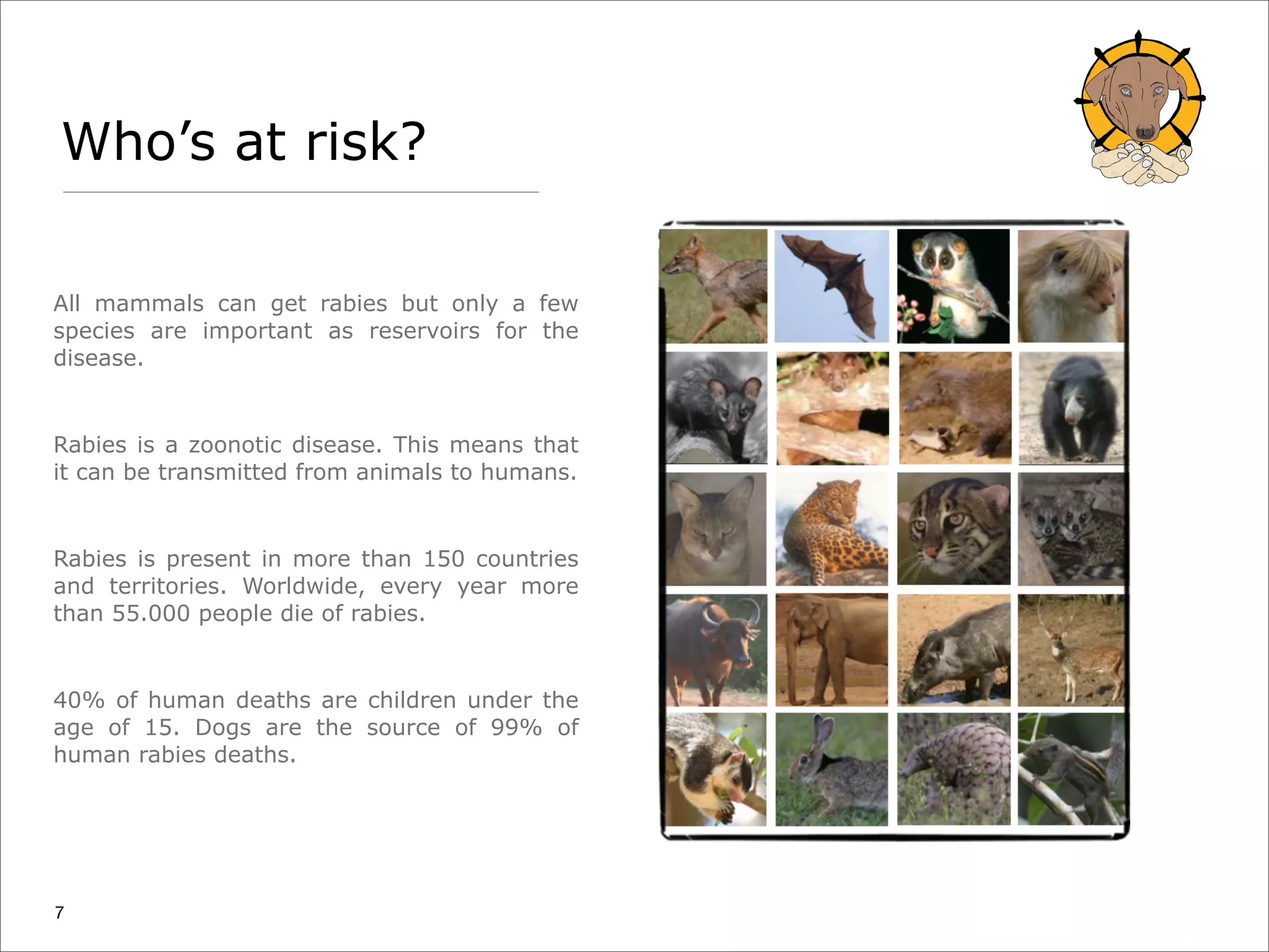 Rabies: information you need to know | PDF
