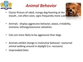Rabies jsk nagarajan | PPT