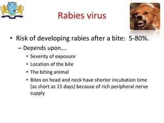Rabies jsk nagarajan | PPTX