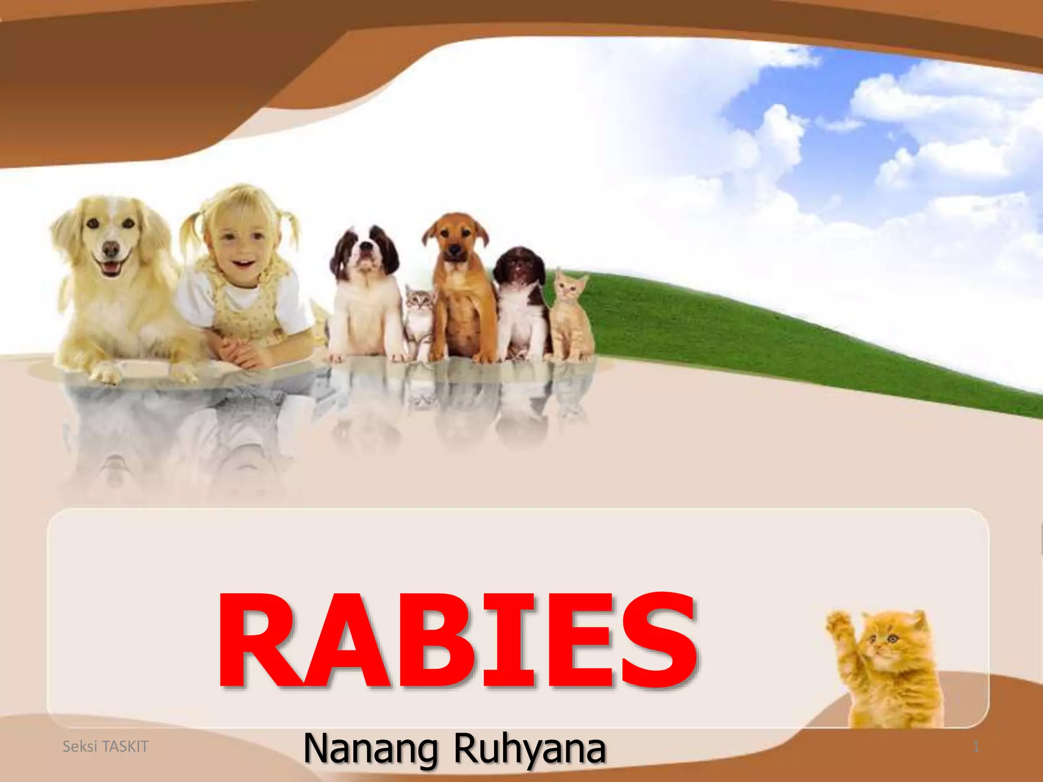 Rabies | PPTX