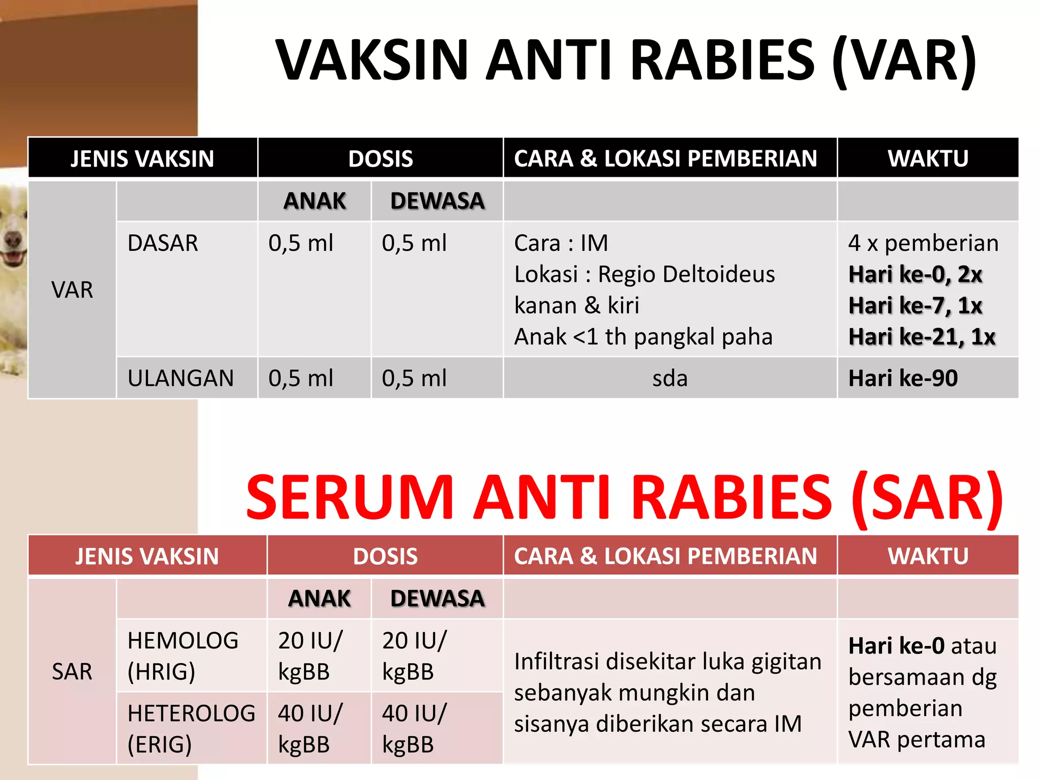 Rabies | PPTX