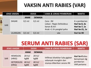 Rabies | PPTX