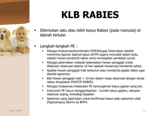 Rabies | PPTX