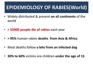 RABIES-new.pdf
