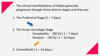 Rabies | PPTX | Infectious Diseases | Diseases and Conditions