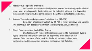 Rabies | PPTX