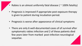 Rabies | PPTX | Infectious Diseases | Diseases and Conditions