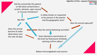 Rabies | PPTX | Infectious Diseases | Diseases and Conditions