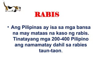 kaalaman tungkol sa rabies-powerpoint.ppt