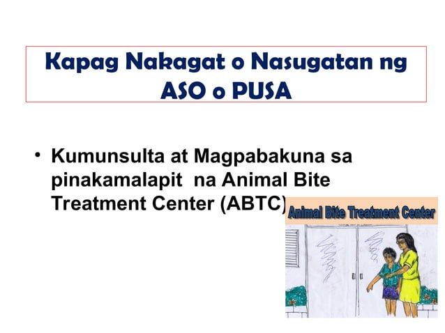 kaalaman tungkol sa rabies-powerpoint.ppt