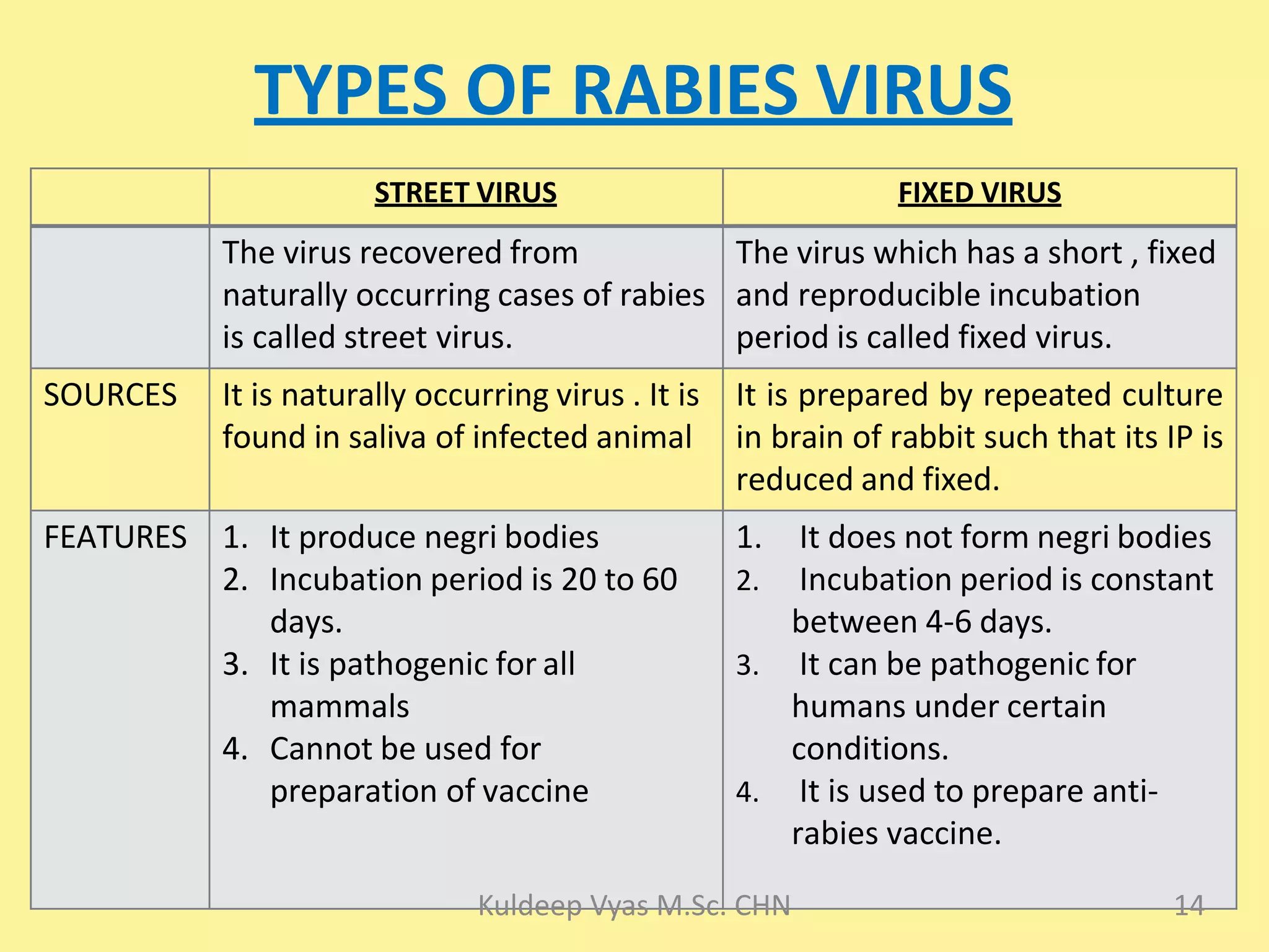 Rabies | PPTX