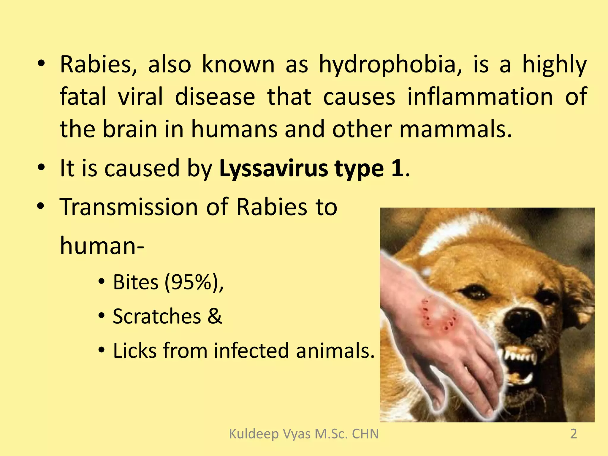 Rabies | PPT