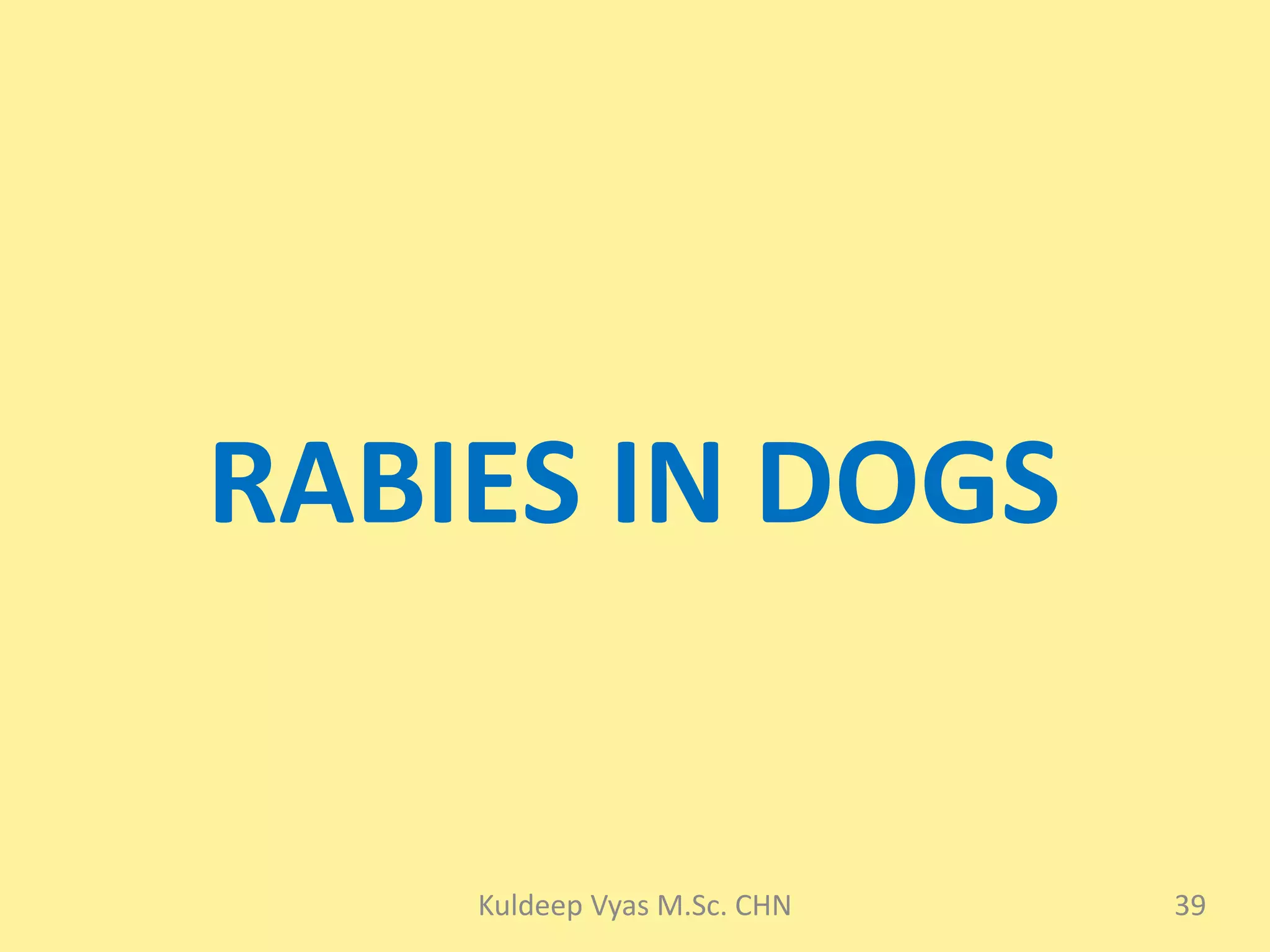 Rabies | PPTX