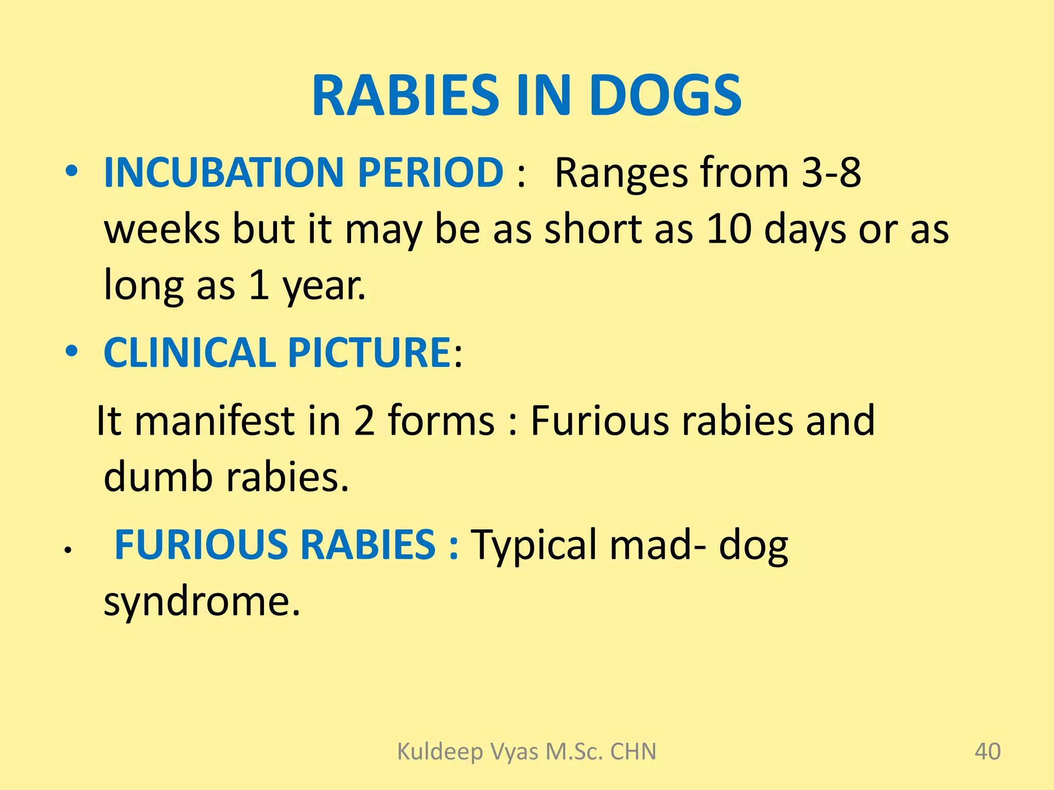Rabies | PPTX