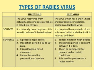 rabies-ppt-180628094835.pdf