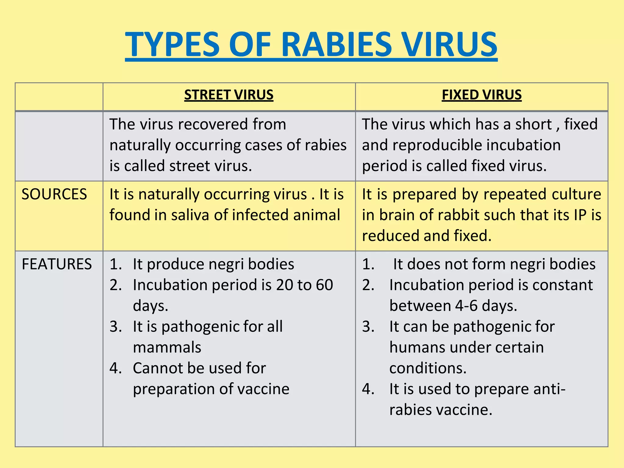 rabies review | PPTX